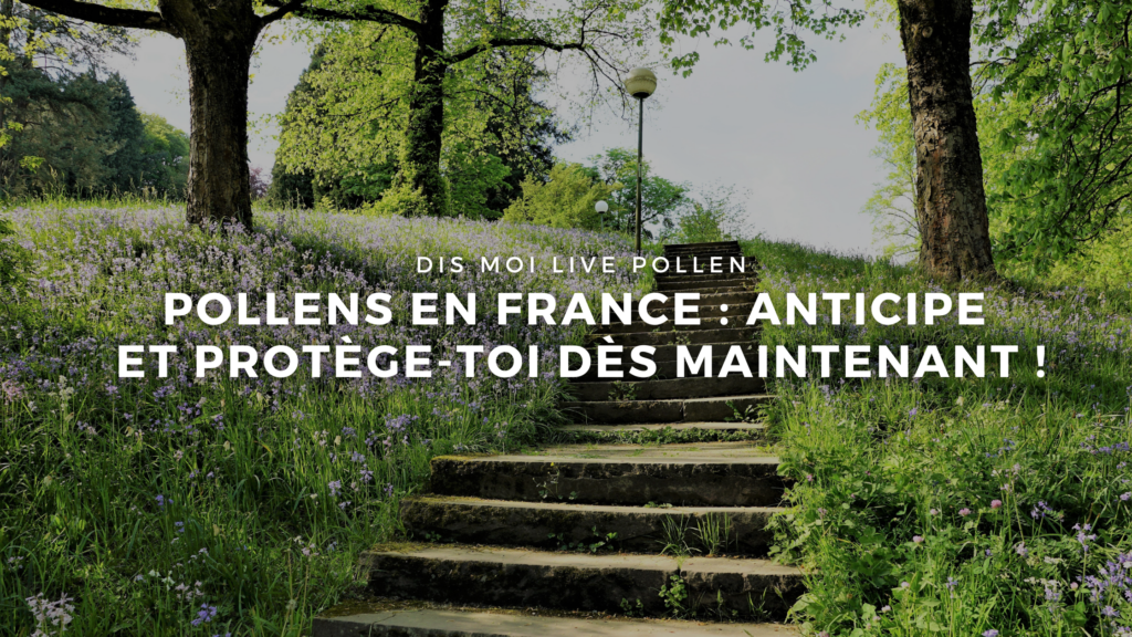 Retour des pollens en France : anticipe et protège-toi ! - LivePollen
